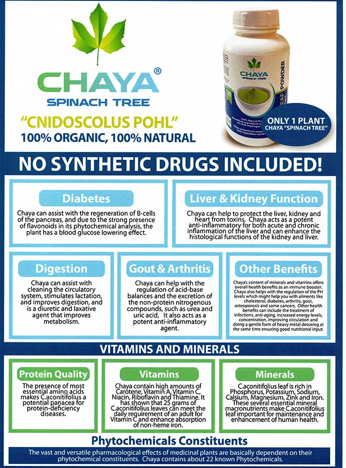 Chaya – Nutrient Powerhouse | Health By Herbs